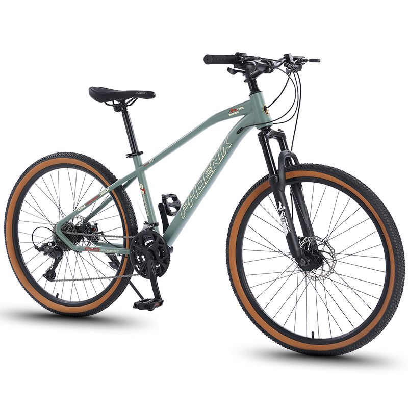 Supply Phoenix Mountain Bike Adult Men's and Women's Variable Speed off-Road New Shock Absorber ...