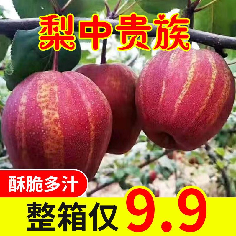 e6042d0f-cbac-4251-8d8f-eb3ac0e34516.jpeg (800×800)